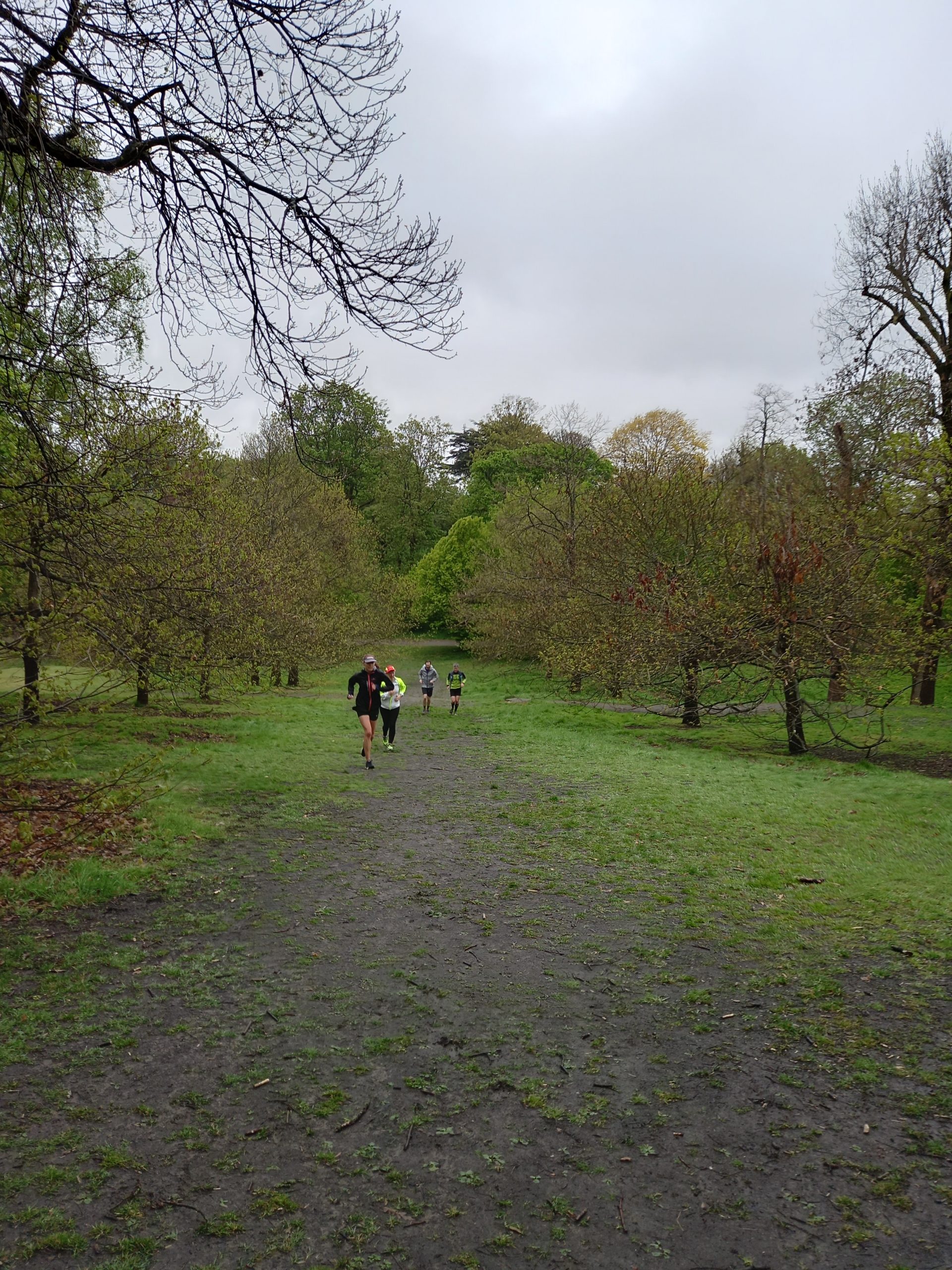 Greenwich Hills (Sat) - Serpentine Running and Triathlon Club